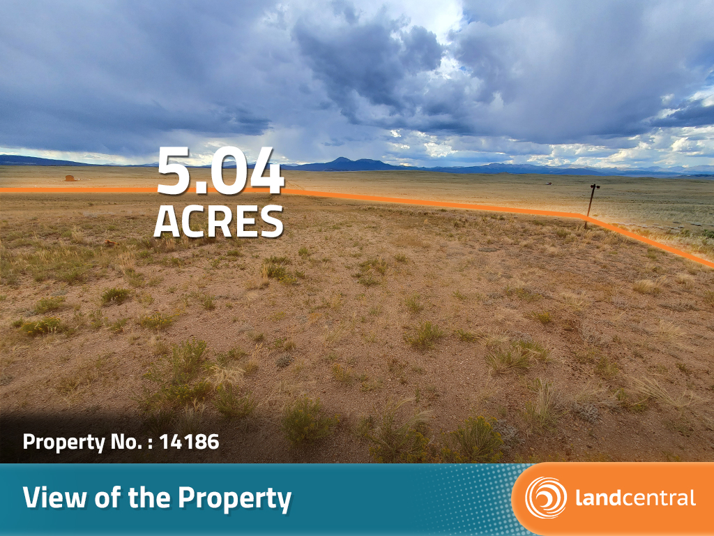 Picturesque five acre property with amazing views7