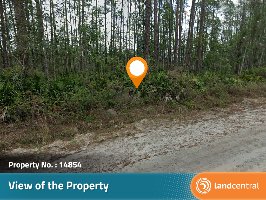 Lovely property backing acres and acres of breathtaking forest4