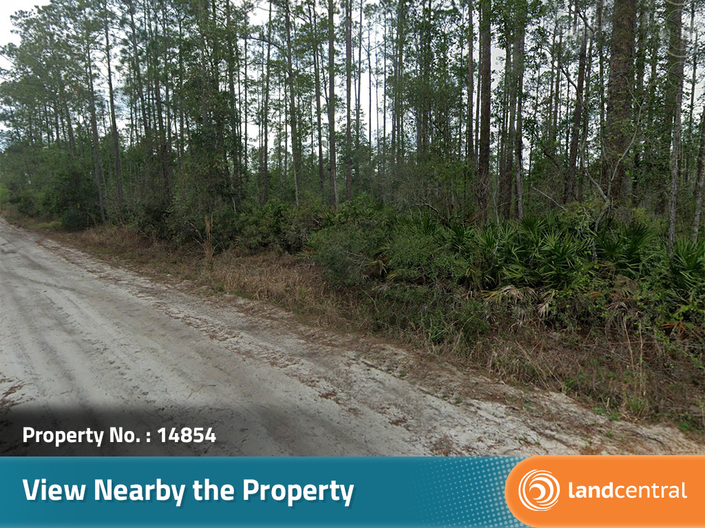 Lovely property backing acres and acres of breathtaking forest6