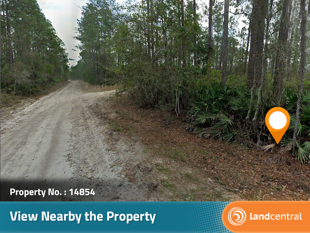 Lovely property backing acres and acres of breathtaking forest7