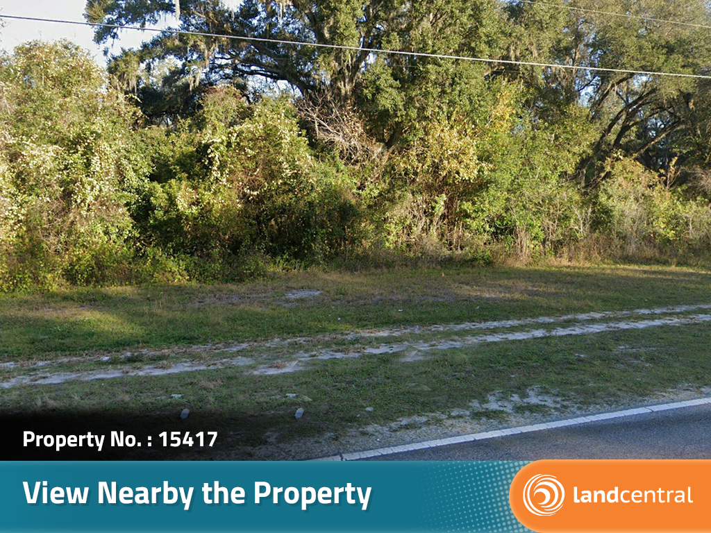 Beautiful 3.5 acres in a small town about an hour outside of Tampa6