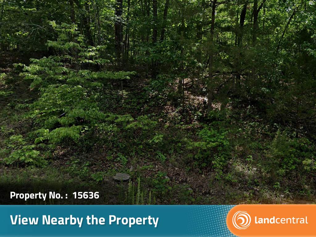 Beautiful property with only a few homes scattered nearby3