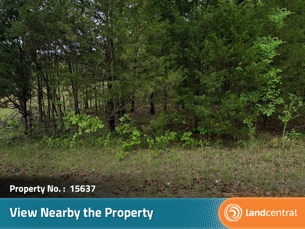 Great plot of land at the end of the street in a quiet neighborhood5