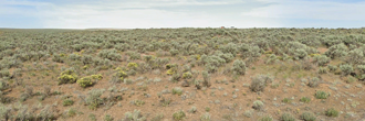 Just over an acre and a quarter of beautiful land in Douglas County